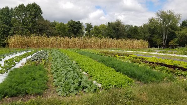 Innovating Generational Farming Practices with Ecological Approaches ...